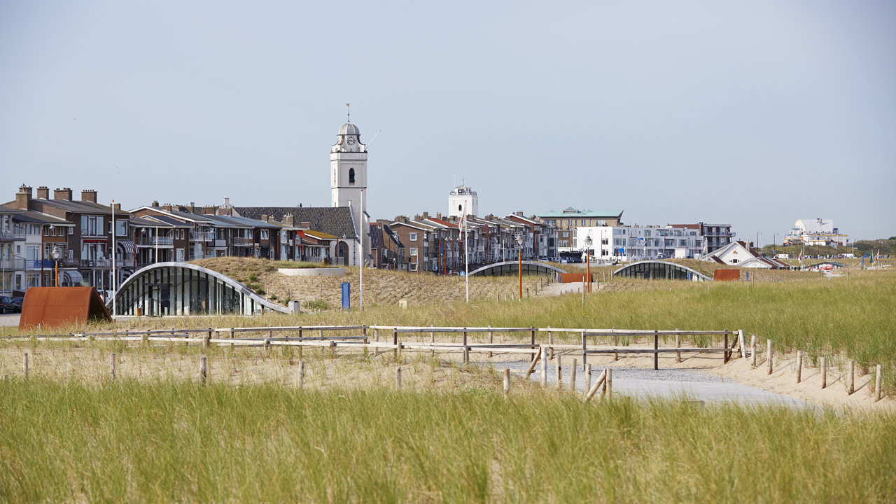 Tulp Aan Zee